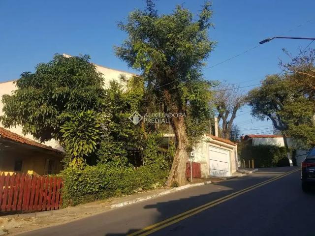 Terreno / Lote para Venda em São Bernardo do Campo/SP Santa Terezinha