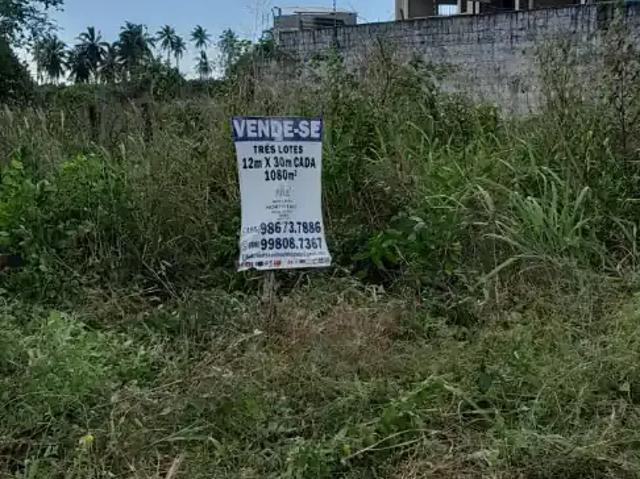 Terreno / Lote para Venda em São Gonçalo do Amarante/CE Colônia