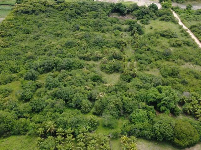 Terreno / Lote para Venda em São Gonçalo do Amarante/RN Centro