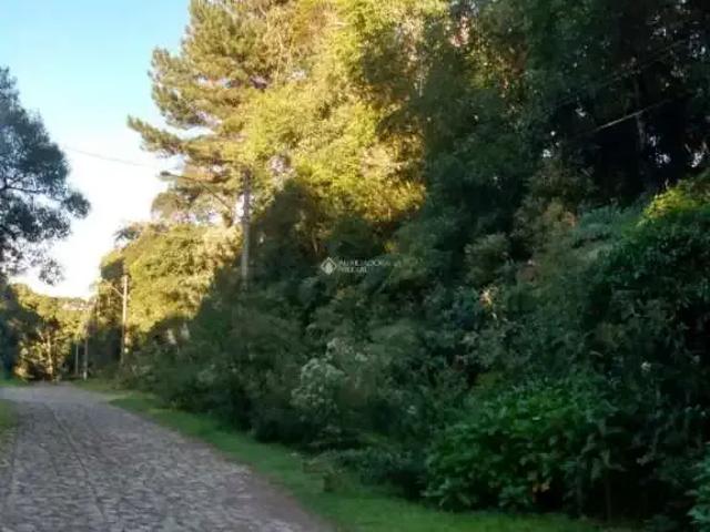 Terreno / Lote para Venda em São Francisco de Paula/RS Centro