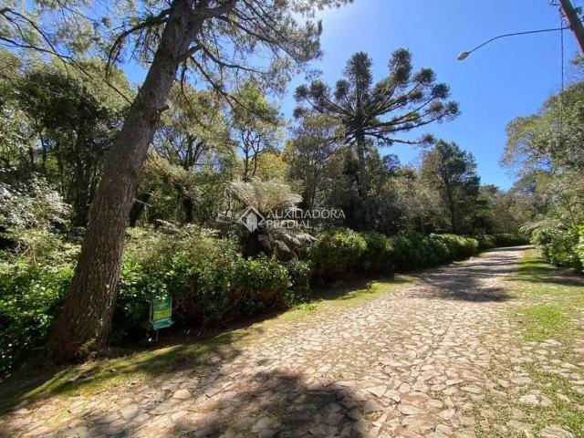 Terreno / Lote para Venda em São Francisco de Paula/RS Alpes