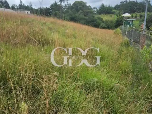 Terreno / Lote para Venda em São Francisco de Paula/RS Apanhador
