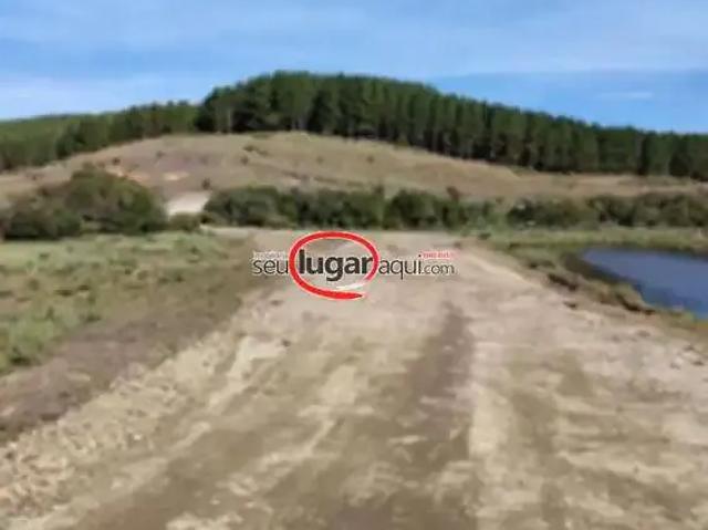 Terreno / Lote para Venda em São Francisco de Paula/RS Apanhador