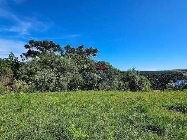 Terreno / Lote para Venda em São Francisco de Paula/RS Eletra