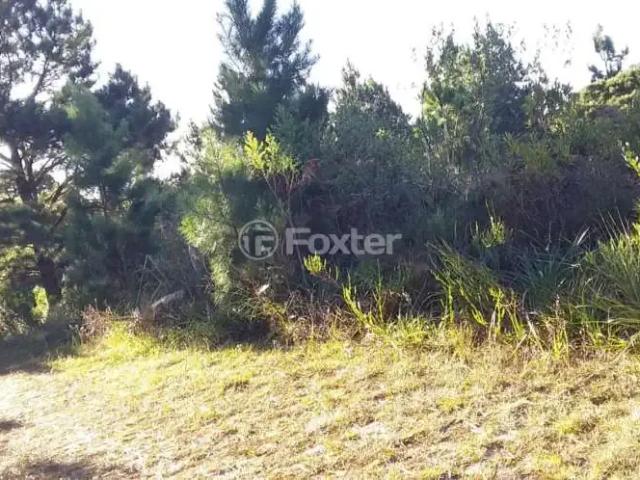 Terreno / Lote para Venda em São Francisco de Paula/RS Loteamento Colinas de são Francisco