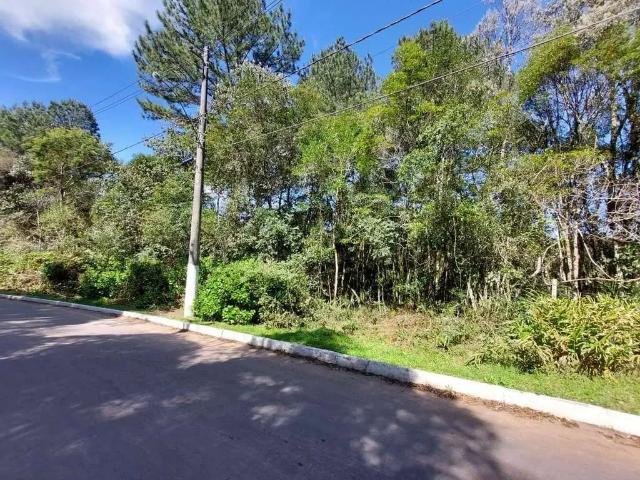 Terreno / Lote para Venda em São Francisco de Paula/RS São Bernardo