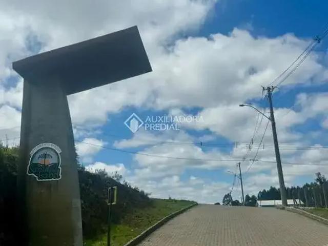 Terreno / Lote para Venda em São Francisco de Paula/RS Santa Isabel