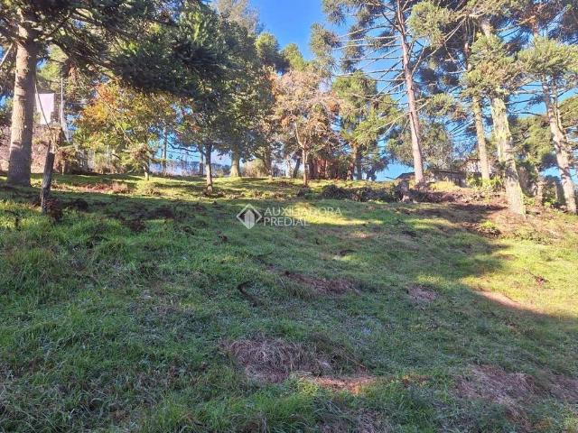 Terreno / Lote para Venda em São Francisco de Paula/RS Remanso Indianópolis