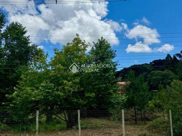 Terreno / Lote para Venda em São Francisco de Paula/RS Remanso Indianópolis