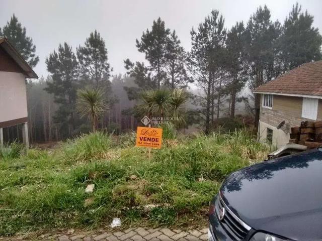 Terreno / Lote para Venda em São Francisco de Paula/RS Residencial São Miguel