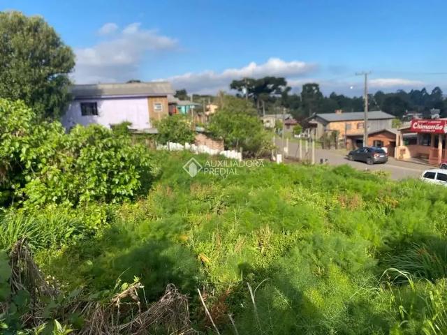Terreno / Lote para Venda em São Francisco de Paula/RS Rincão dos Kroeff