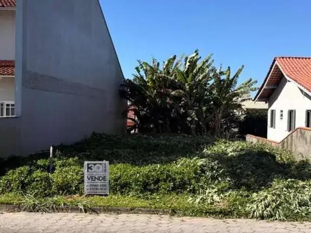 Terreno / Lote para Venda em São Francisco do Sul/SC Itaguaçu