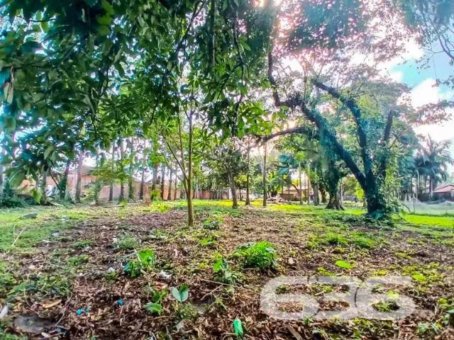 Terreno / Lote para Venda em São Francisco do Sul/SC Iperoba