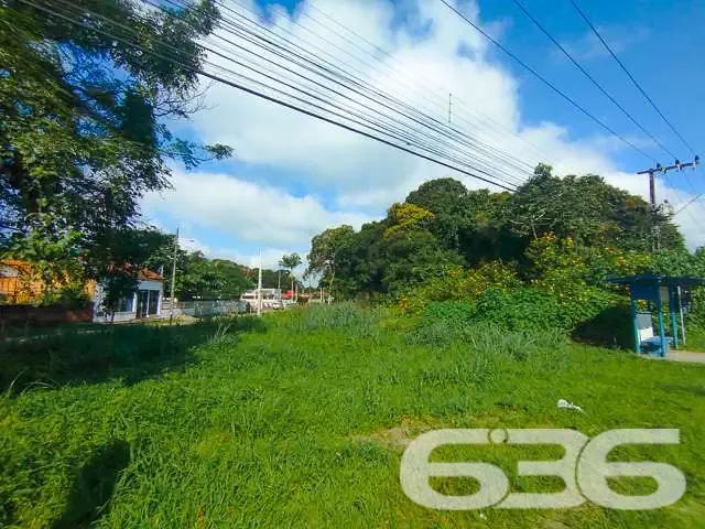 Terreno / Lote para Venda em São Francisco do Sul/SC Iperoba