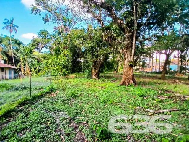 Terreno / Lote para Venda em São Francisco do Sul/SC Iperoba
