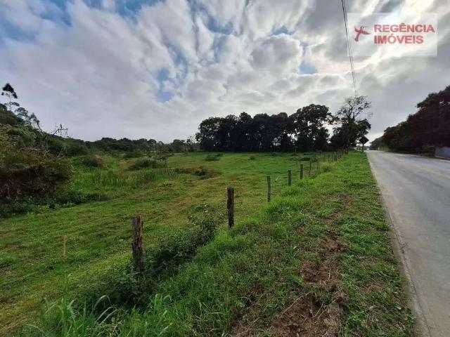 Terreno / Lote para Venda em São Francisco do Sul/SC Iperoba