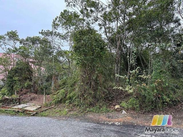 Terreno / Lote para Venda em São Francisco do Sul/SC Paulas