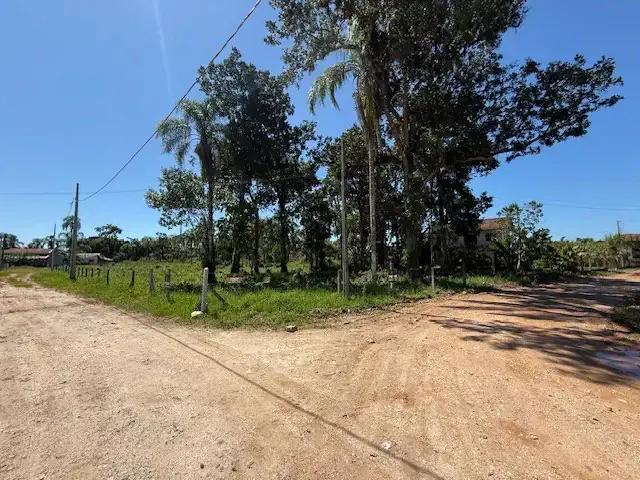 Terreno / Lote para Venda em São Francisco do Sul/SC Praia Bonita