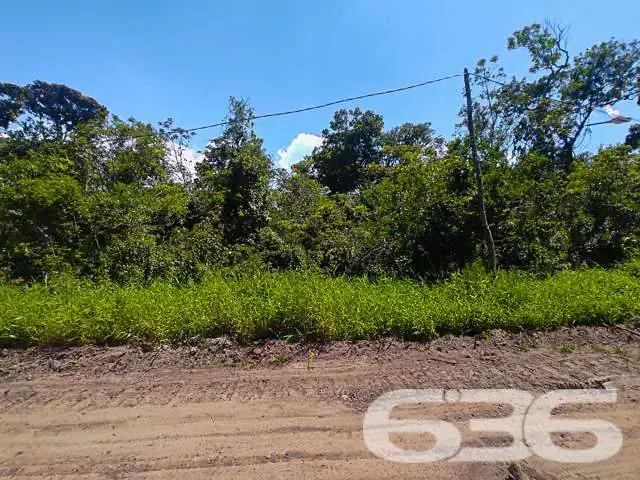 Terreno / Lote para Venda em São Francisco do Sul/SC Praia do Ervino
