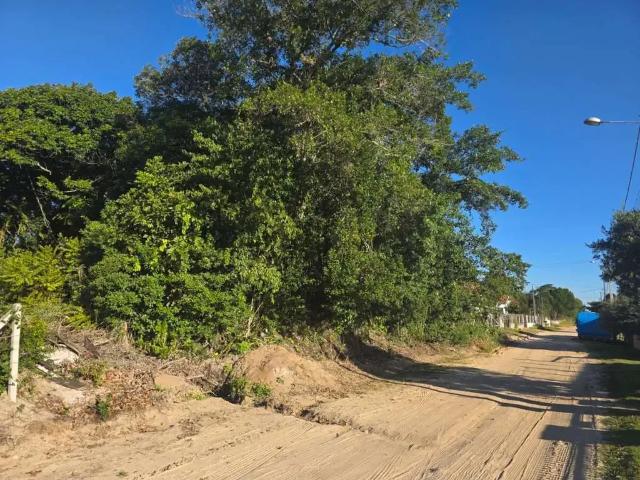 Terreno / Lote para Venda em São Francisco do Sul/SC Praia do Ervino