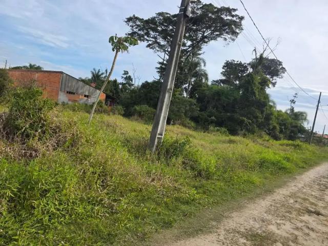 Terreno / Lote para Venda em São Francisco do Sul/SC Praia do Ervino