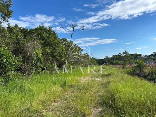 Terreno / Lote para Venda em São Francisco do Sul/SC Praia do Ervino