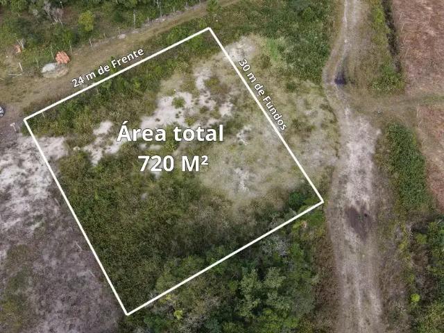 Terreno / Lote para Venda em São Francisco do Sul/SC Praia do Ervino