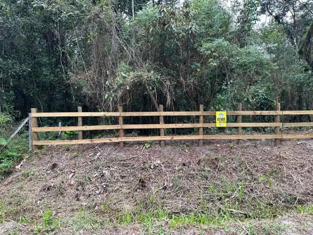 Terreno / Lote para Venda em São Francisco do Sul/SC Praia do Ervino