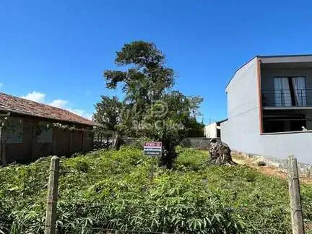 Terreno / Lote para Venda em São Francisco do Sul/SC Praia do Ervino