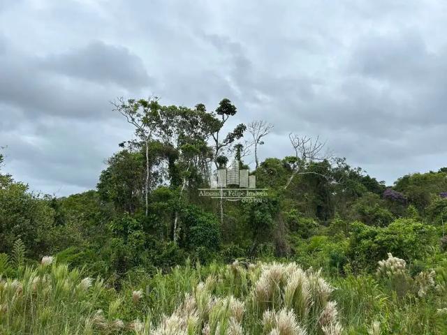Terreno / Lote para Venda em São Francisco do Sul/SC Praia do Ervino