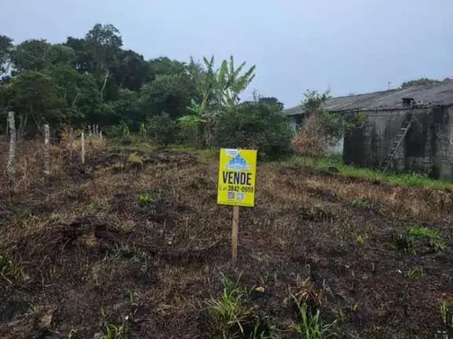 Terreno / Lote para Venda em São Francisco do Sul/SC Praia do Ervino