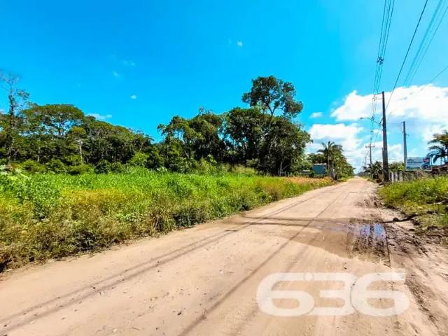 Terreno / Lote para Venda em São Francisco do Sul/SC Praia do Ervino