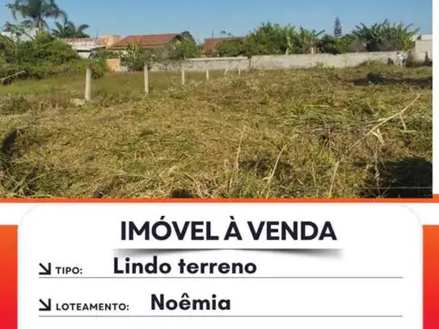 Terreno / Lote para Venda em São Francisco do Sul/SC Praia do Ervino