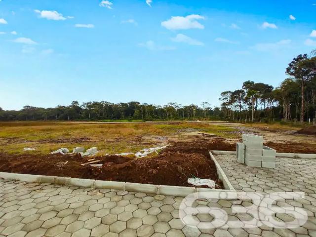 Terreno / Lote para Venda em São Francisco do Sul/SC Praia do Ervino