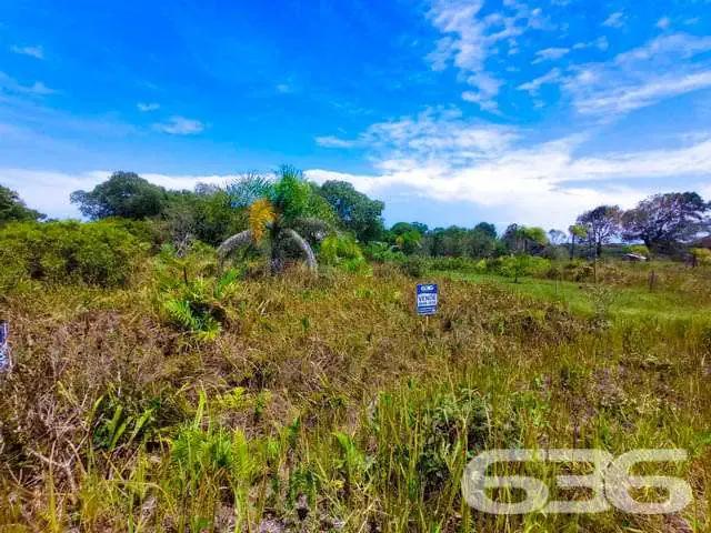 Terreno / Lote para Venda em São Francisco do Sul/SC Praia do Ervino