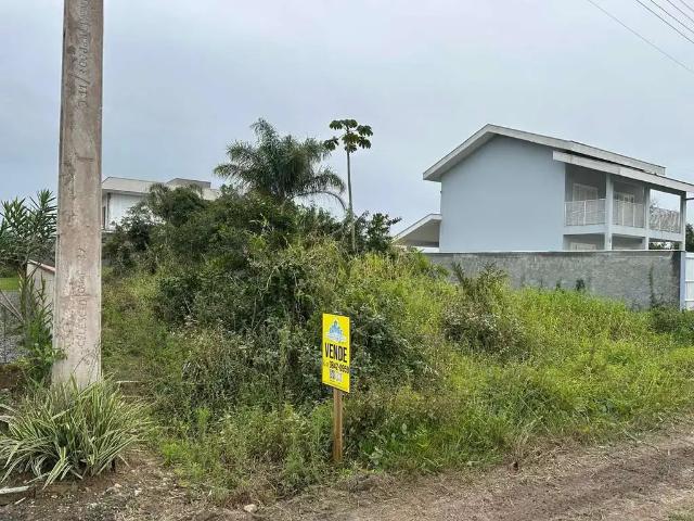 Terreno / Lote para Venda em São Francisco do Sul/SC Praia do Ervino