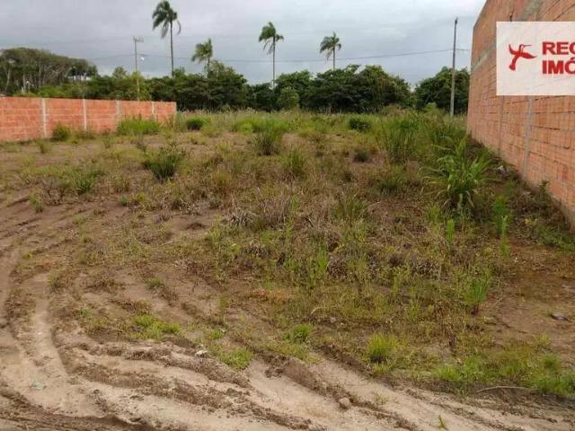 Terreno / Lote para Venda em São Francisco do Sul/SC Praia do Ervino