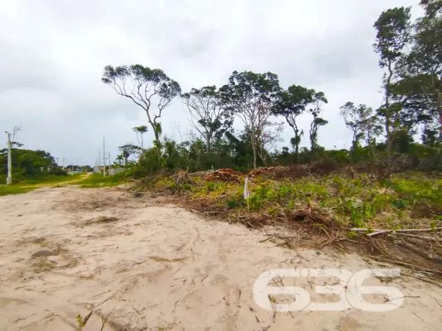 Terreno / Lote para Venda em São Francisco do Sul/SC Praia do Ervino