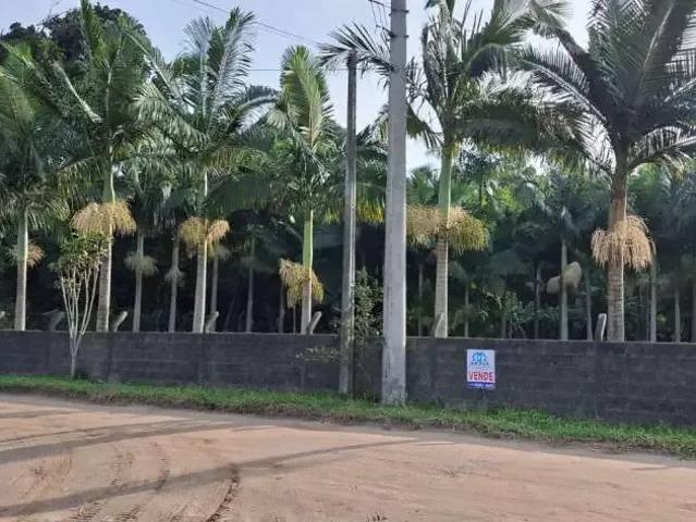 Terreno / Lote para Venda em São Francisco do Sul/SC Praia do Ervino