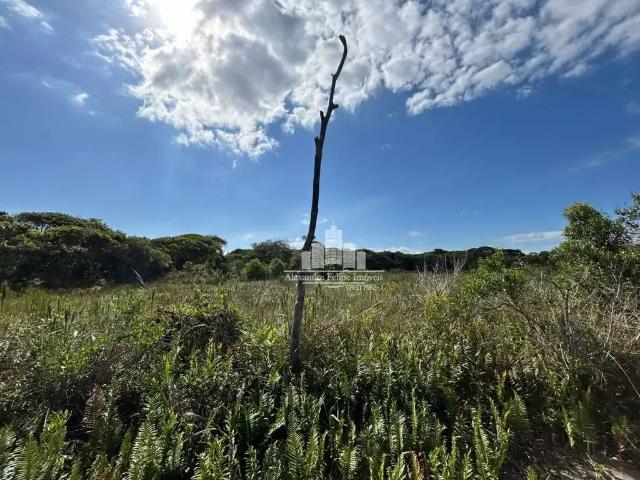 Terreno / Lote para Venda em São Francisco do Sul/SC Praia do Ervino