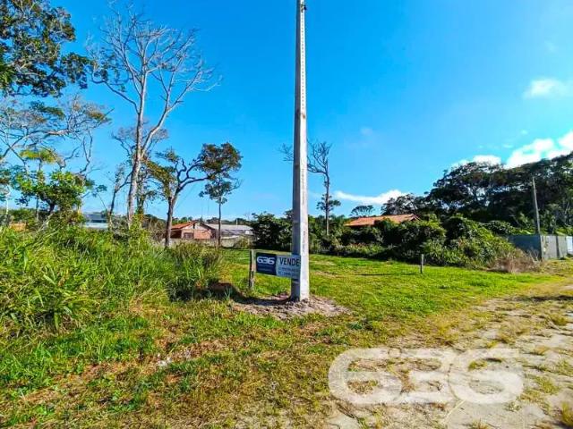 Terreno / Lote para Venda em São Francisco do Sul/SC Praia do Ervino
