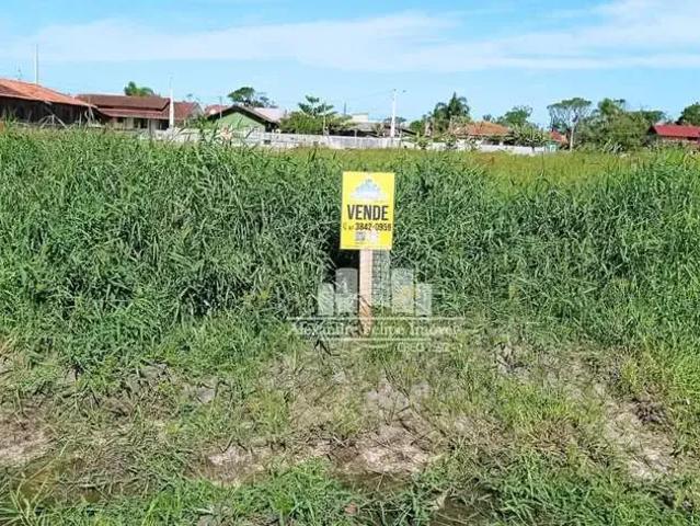 Terreno / Lote para Venda em São Francisco do Sul/SC Praia do Ervino