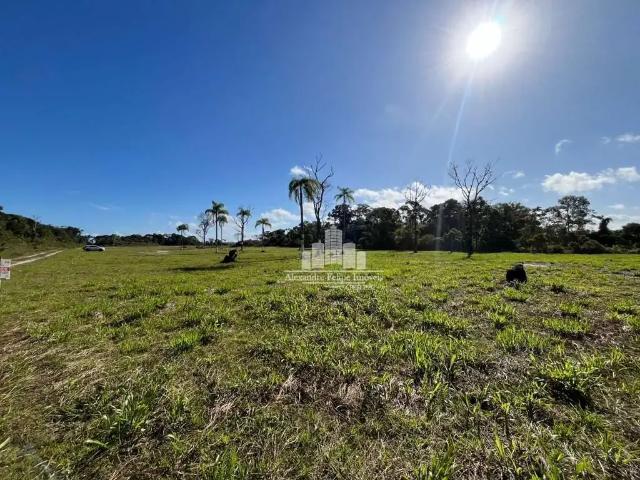 Terreno / Lote para Venda em São Francisco do Sul/SC Praia do Ervino