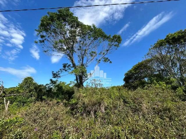 Terreno / Lote para Venda em São Francisco do Sul/SC Praia do Ervino