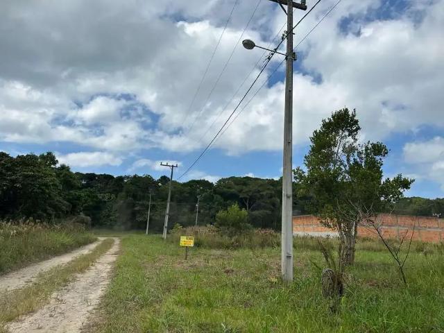 Terreno / Lote para Venda em São Francisco do Sul/SC Praia do Ervino