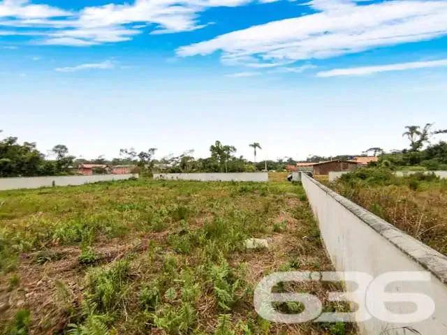 Terreno / Lote para Venda em São Francisco do Sul/SC Praia do Ervino