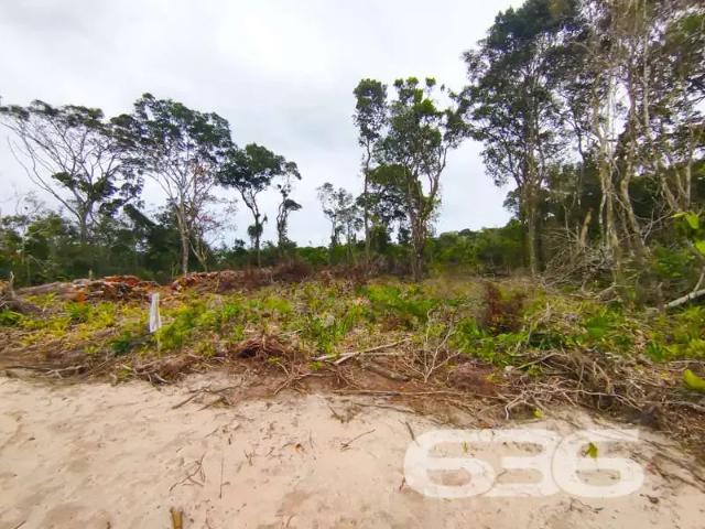 Terreno / Lote para Venda em São Francisco do Sul/SC Praia do Ervino
