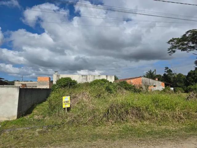 Terreno / Lote para Venda em São Francisco do Sul/SC Praia do Ervino