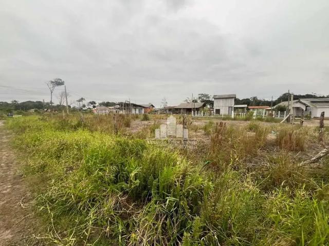 Terreno / Lote para Venda em São Francisco do Sul/SC Praia do Ervino