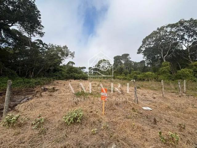 Terreno / Lote para Venda em São Francisco do Sul/SC Praia do Ervino
